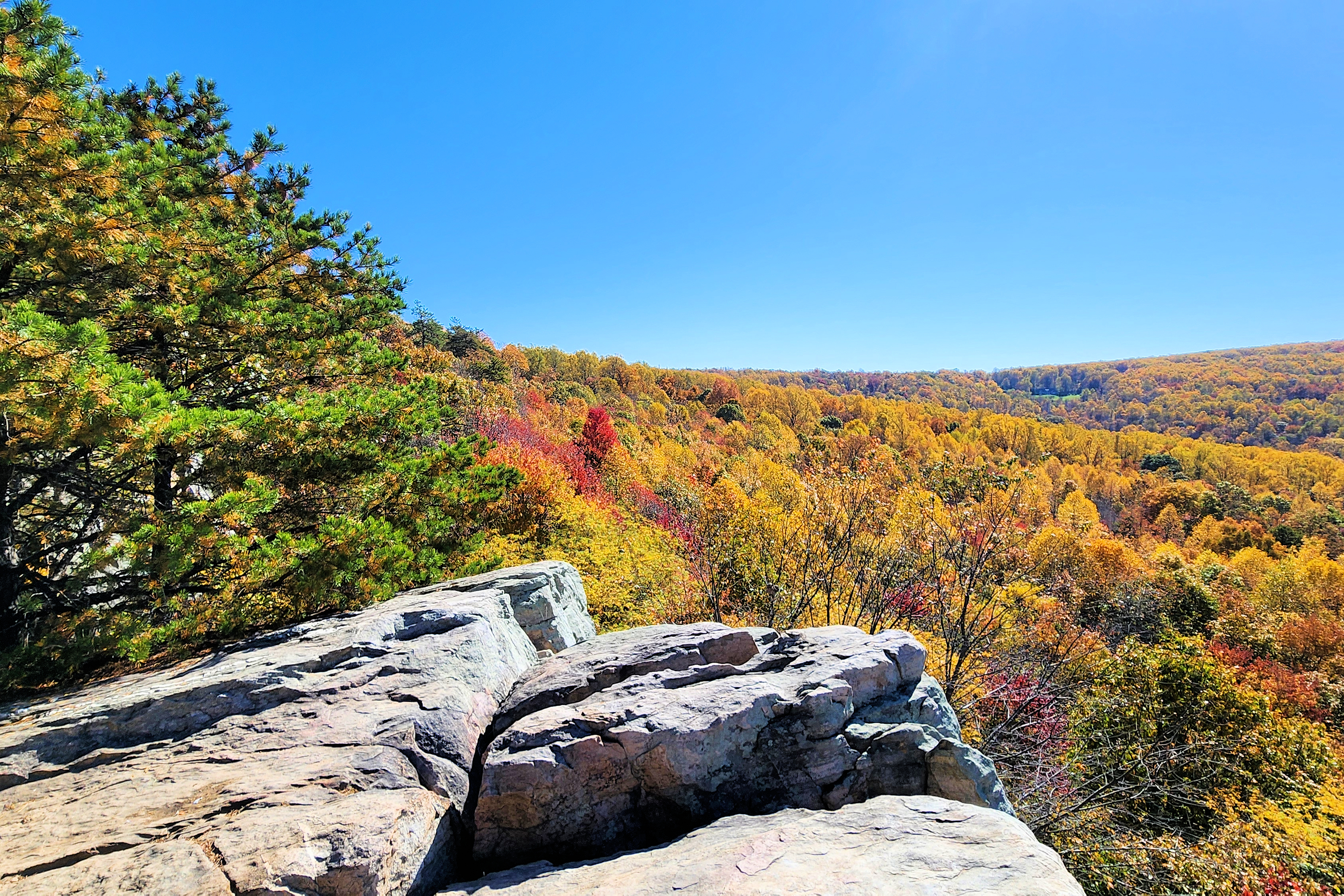 Raven Rocks and Bear’s Den – Joe the Real Deal